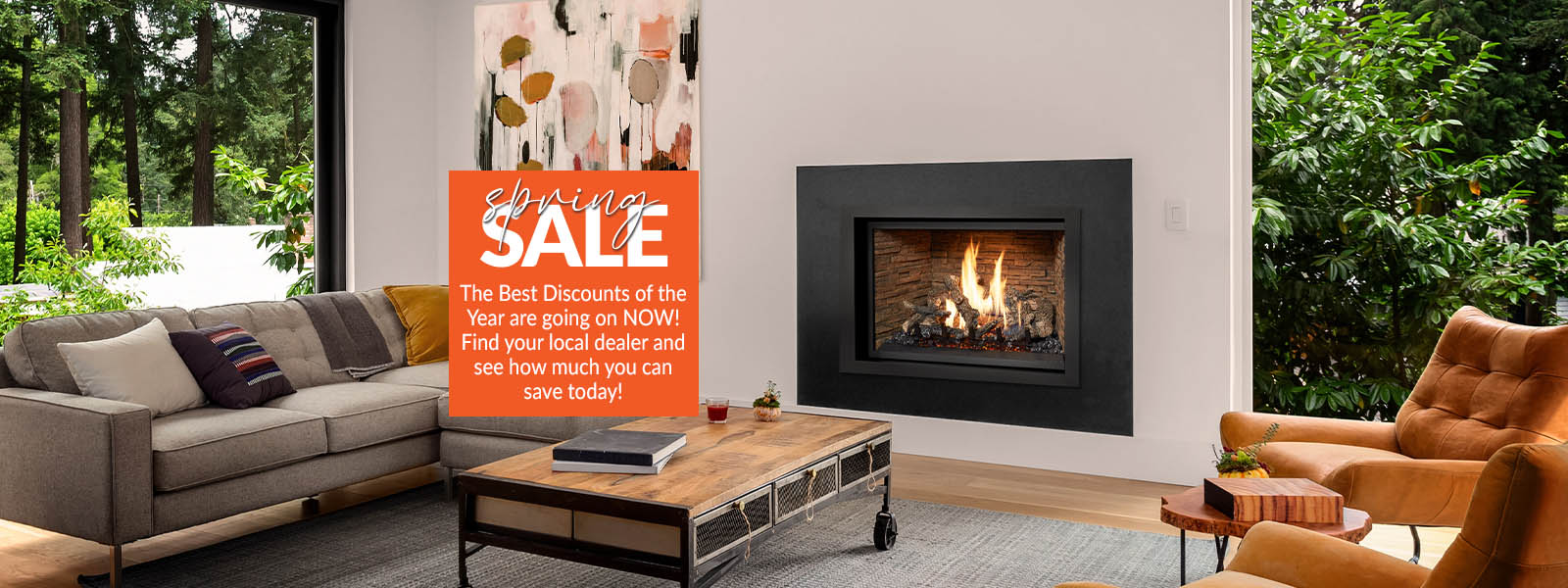 Fireplaces | Inserts | Wood | Gas | Fireplace Xtrordinair